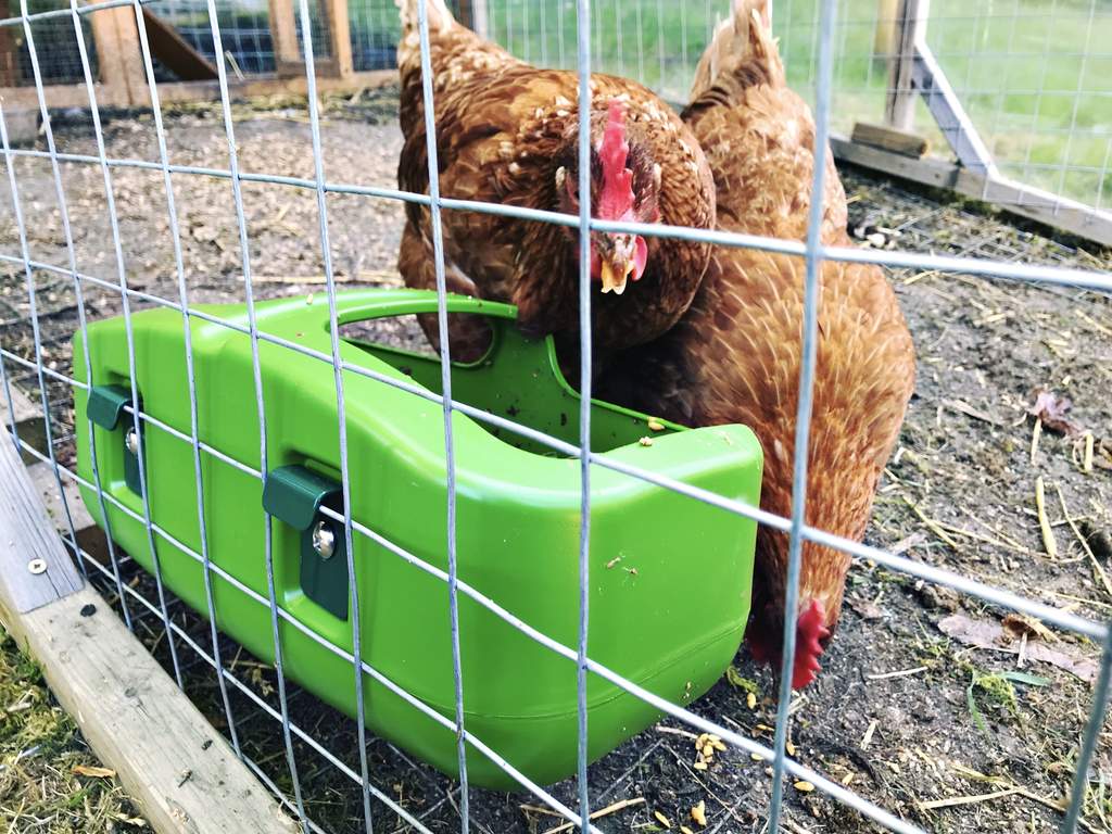 Eglu Cube Mk2 Drinker Green | Feeders and Drinkers For Chickens ...