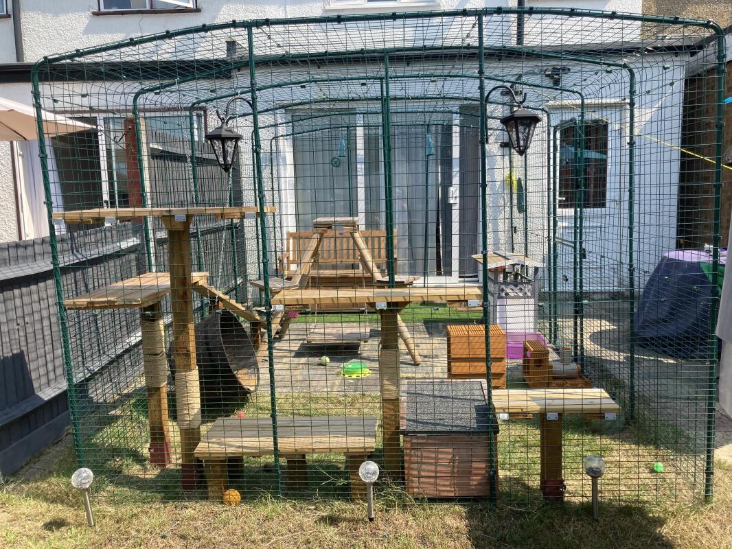 Outdoor Cat Run | Outdoor Cat Runs, Indoor Cat Houses, Luxury Cat Beds ...