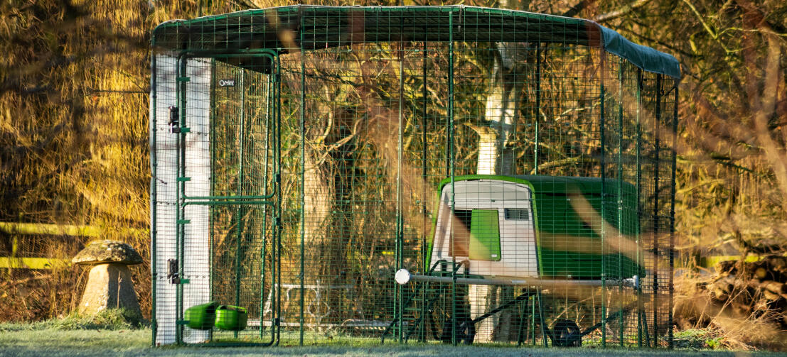 Large Walk in Chicken Runs | Omlet