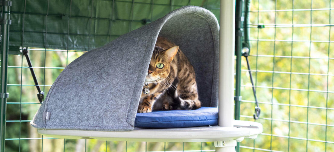 Freestyle Outdoor Cat Tree - Customisable Cat Climbing Frame | Omlet