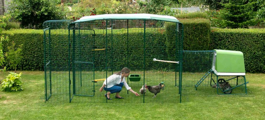 Large Walk in Chicken Runs | Omlet