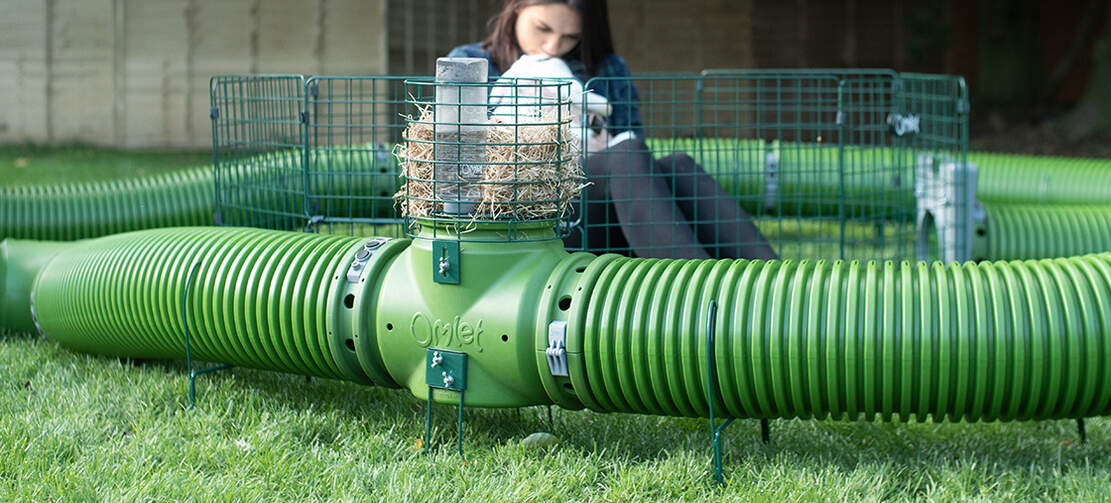 Zippi Rabbit Tunnel System | Omlet