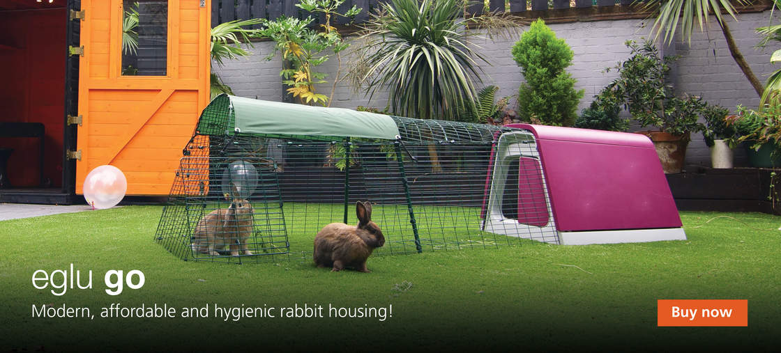 Beautifully Designed Pet Housing by Omlet