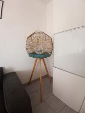 Geo Bird Cage | The Beautiful Geodesic Budgie Cage | Omlet