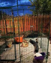 Omlet Outdoor Rabbit Run | Omlet