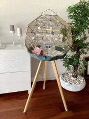 Geo Bird Cage | The Beautiful Geodesic Budgie Cage | Omlet