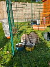 Omlet Outdoor Rabbit Run | Omlet