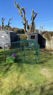 Omlet Outdoor Rabbit Run | Omlet