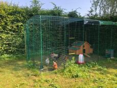 Clear Cover with Gutter Edge for Walk in Run – 2m | Omlet