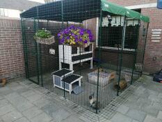Omlet Outdoor Rabbit Run | Omlet