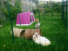 Omlet Outdoor Rabbit Run | Omlet