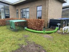 Zippi Rabbit Tunnel System | Omlet