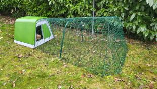 Eglu Go Plastic Rabbit Hutch | Omlet