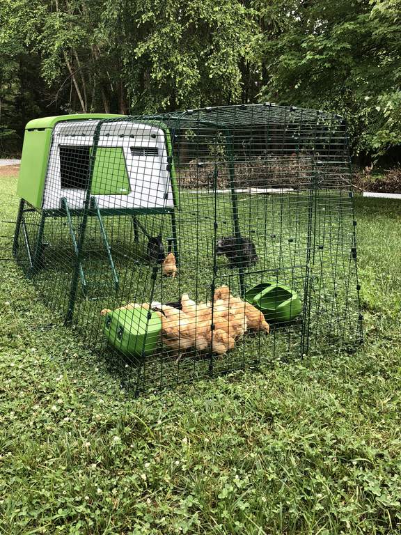Eglu Cube Mk2 1m Run Extension | Chicken Runs and Chicken Netting