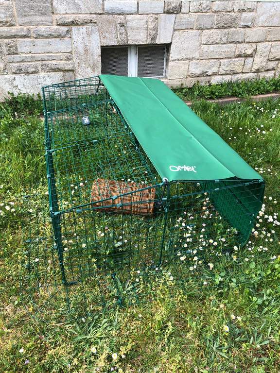 Zippi Rabbit Run with Roof and Skirt - Single Height | Zippi Run and ...