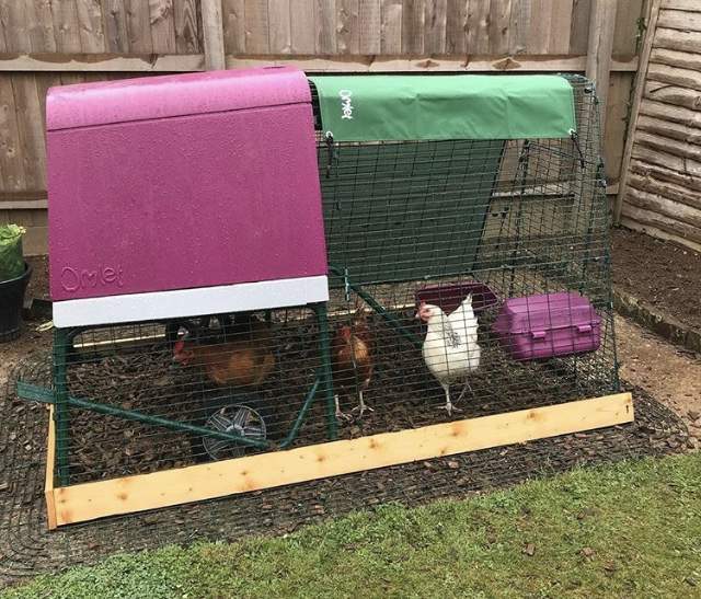 Eglu Go UP Mobile Chicken Coops Australia | Omlet | Chicken Coops, Walk ...
