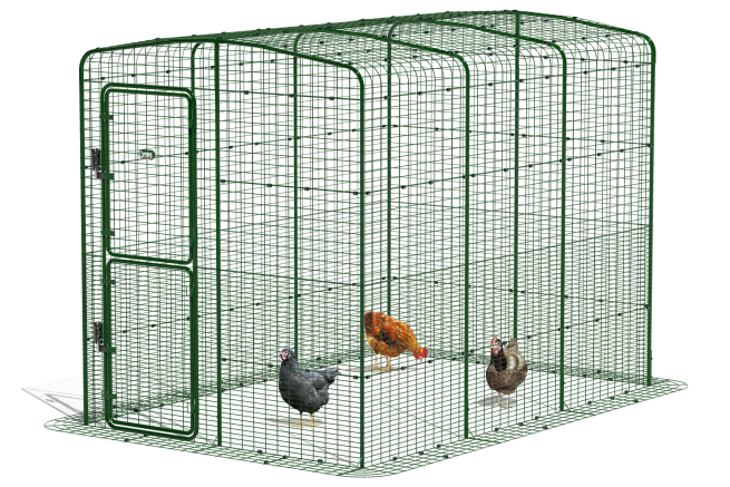 Chicken Runs | Omlet