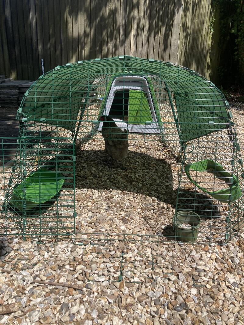 Eglu Go Chicken Coop | Chicken Coops, Walk in Chicken Runs, Chicken ...