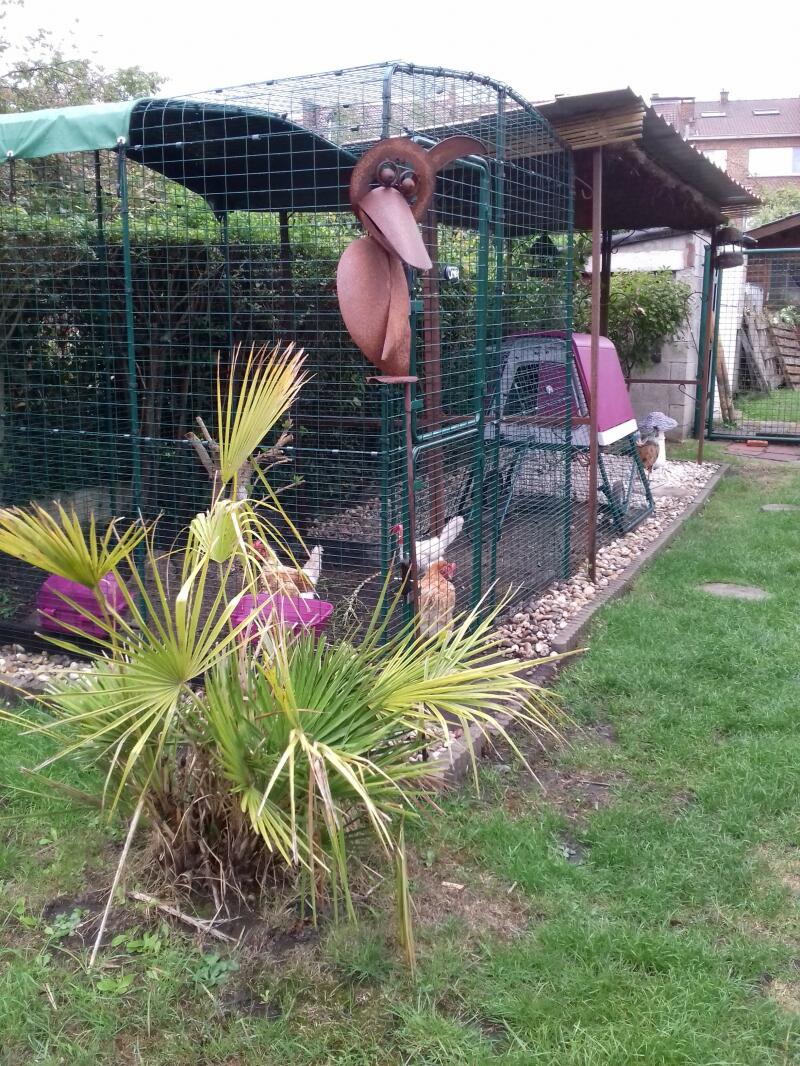 Eglu Go UP Mobile Chicken Coops Australia | Omlet