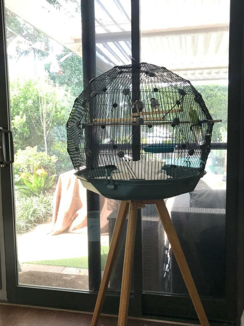 Geo Bird Cage - Night Cover | Omlet