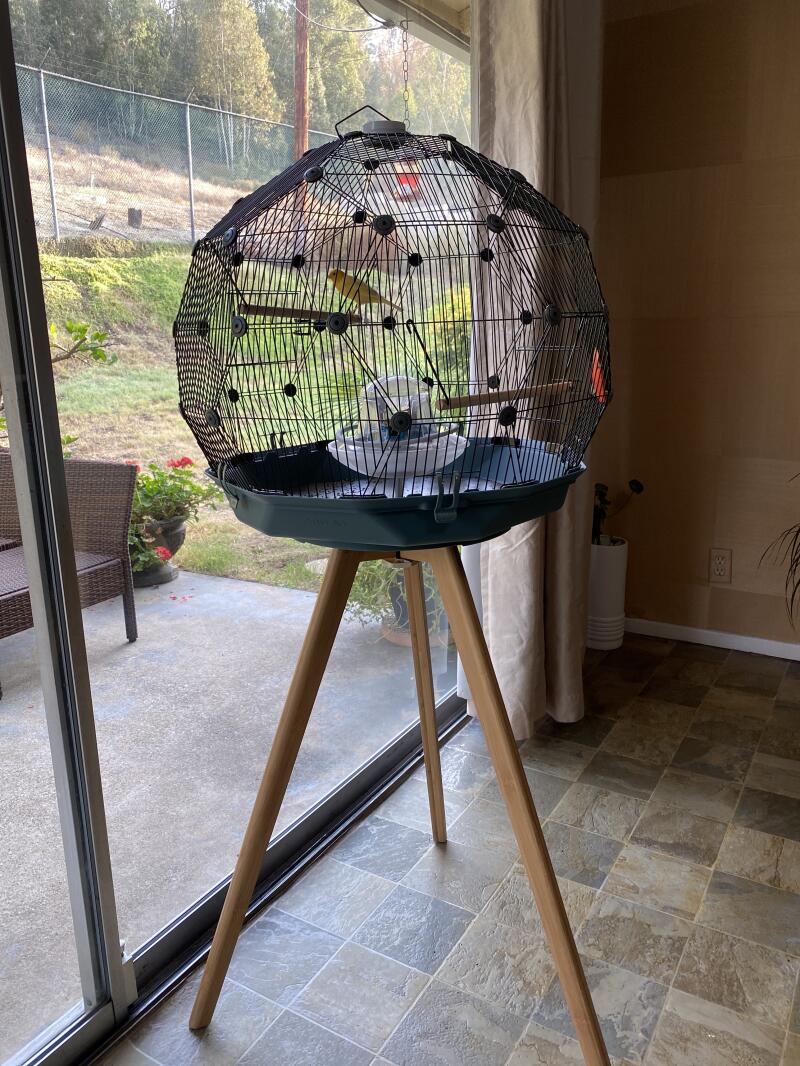 Geo Bird Cage | The Beautiful Geodesic Budgie Cage | Omlet