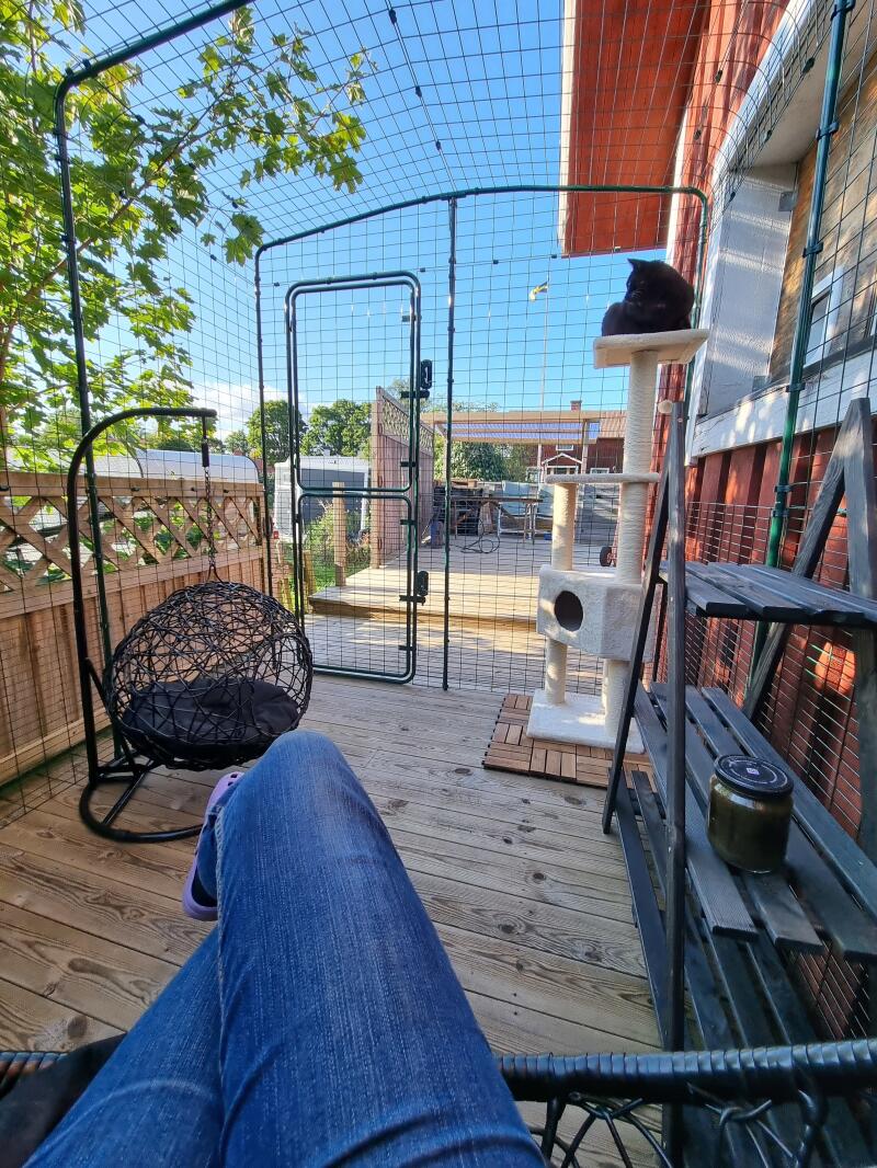 Outdoor Omlet Catio Cat Run Extensions | Omlet