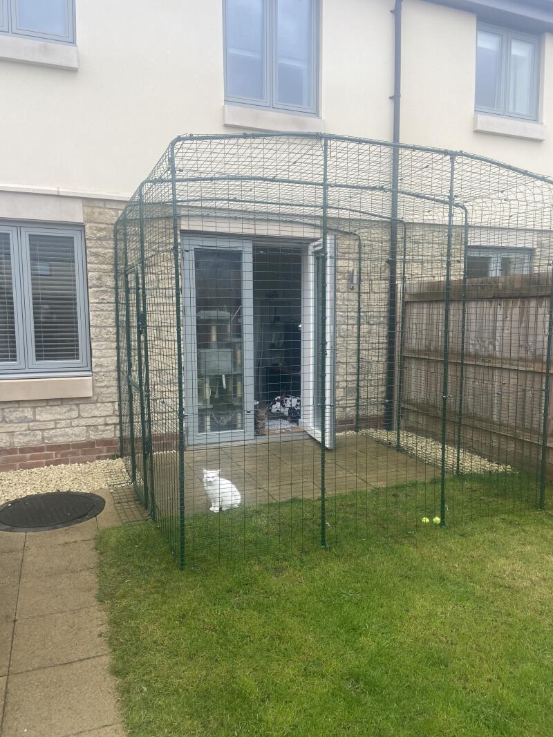 Catios | Large Spacious Outdoor Cat Enclosures | Omlet