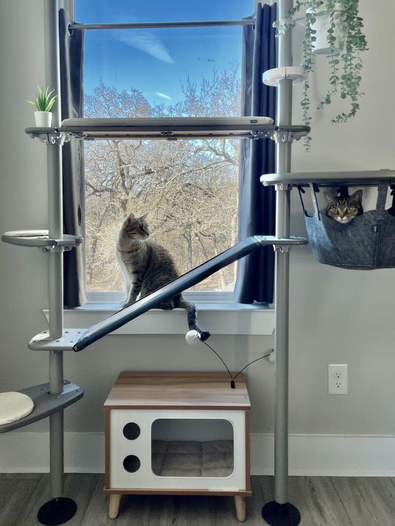 Freestyle Outdoor Cat Tree - Customisable Cat Climbing Frame | Omlet
