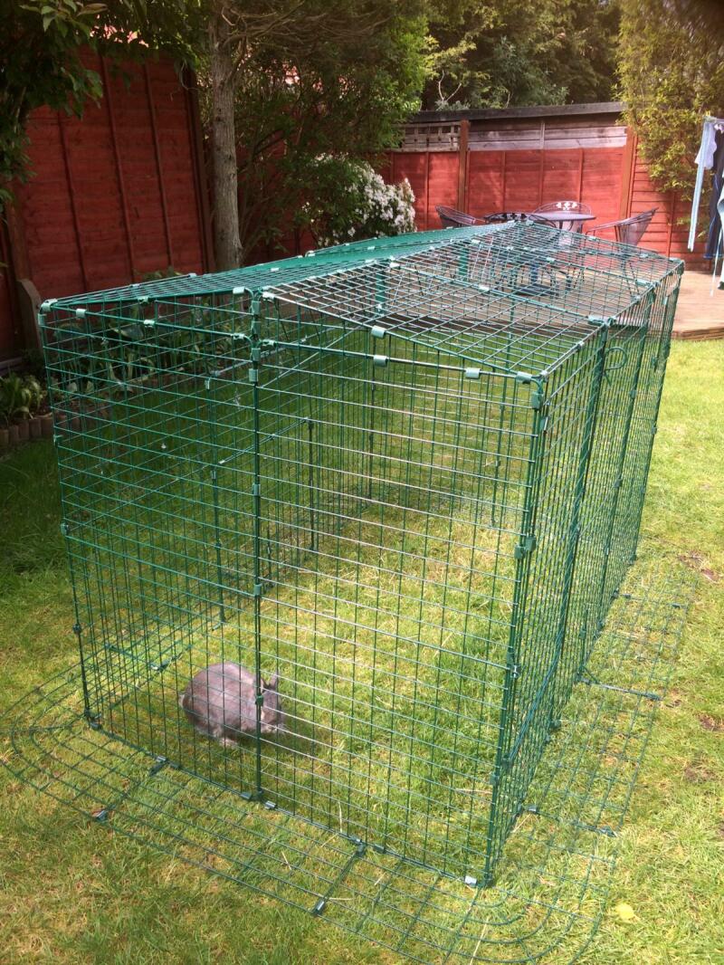 Zippi Rabbit Runs and Playpens | Omlet | Omlet