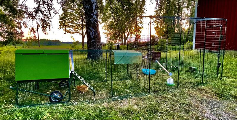 Large Eglu Cube Chicken Coops and Runs | Easy to Clean Safe Hen House ...