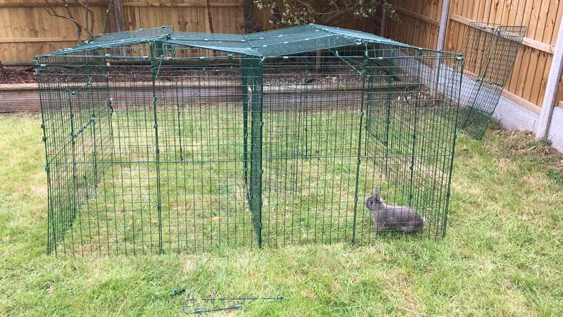 Zippi Rabbit Runs and Playpens | Omlet | Omlet