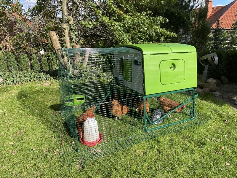 Large Eglu Cube Chicken Coops and Runs | Easy to Clean Safe Hen House ...