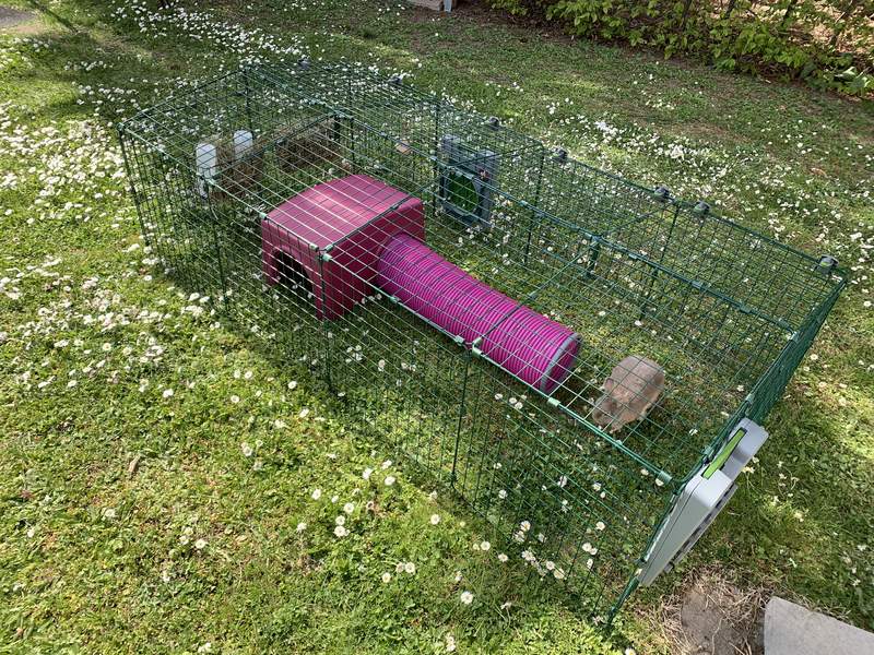 Zippi Rabbit Runs and Playpens | Omlet | Omlet