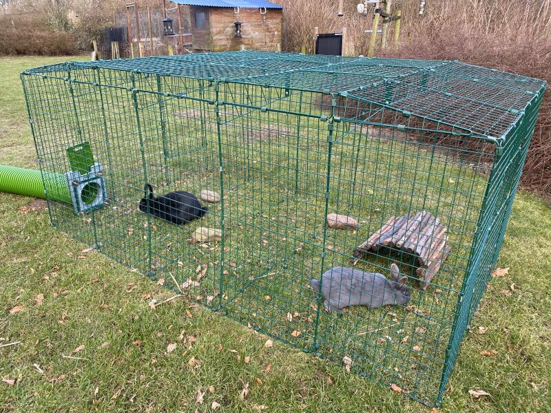Zippi Rabbit Runs and Playpens | Omlet | Omlet