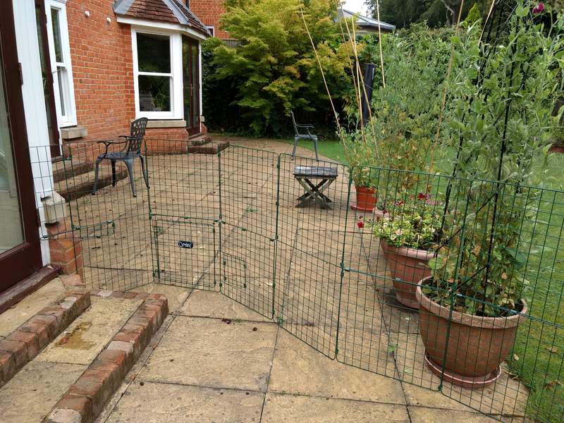 Zippi Rabbit Runs and Playpens | Omlet | Omlet