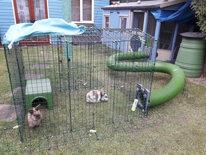 Zippi Rabbit Runs and Playpens | Omlet | Omlet