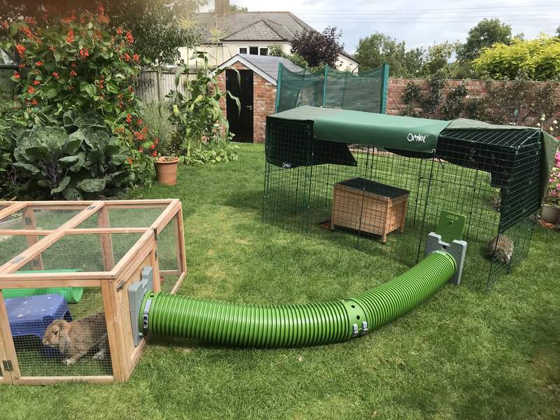 Zippi Rabbit Runs and Playpens | Omlet | Omlet