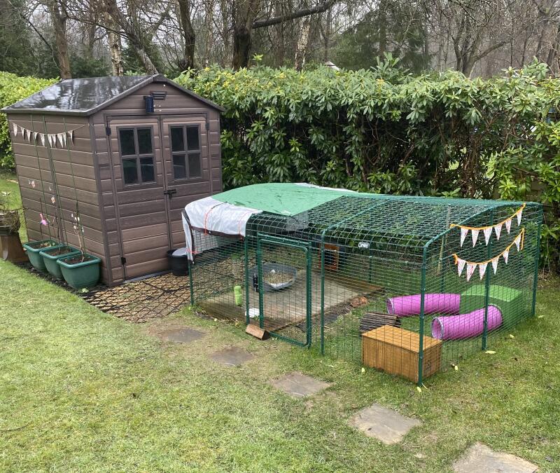 Zippi Rabbit Runs and Playpens | Omlet | Omlet