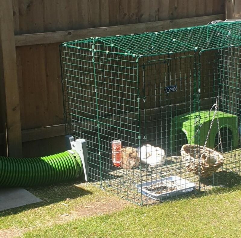Zippi Rabbit Runs and Playpens | Omlet | Omlet
