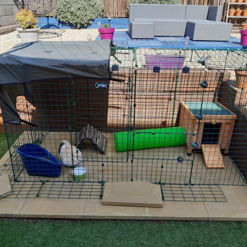 Zippi Rabbit Runs and Playpens | Omlet | Omlet
