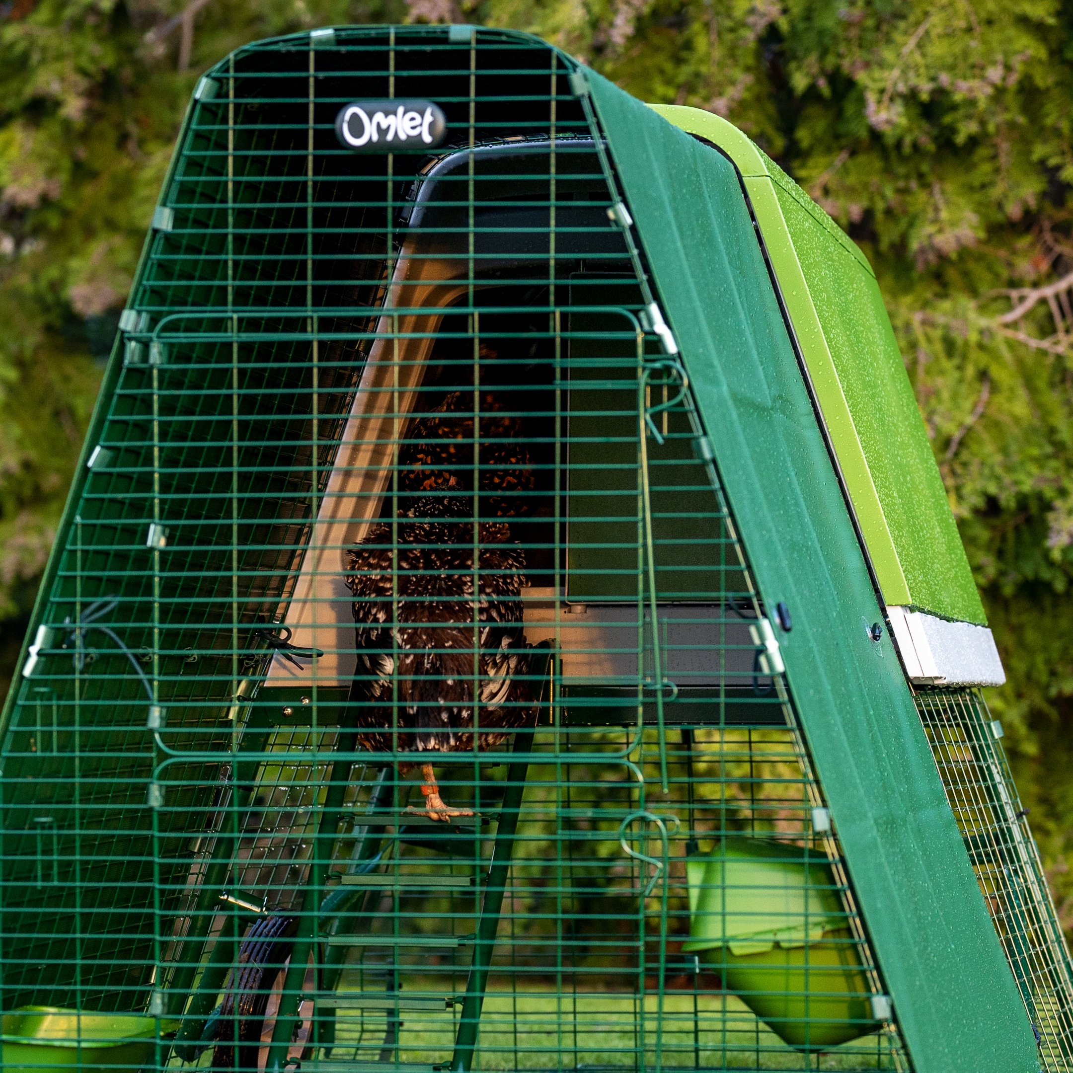 Heavy Duty Run Cover for Eglu Go UP - Full Run | Omlet