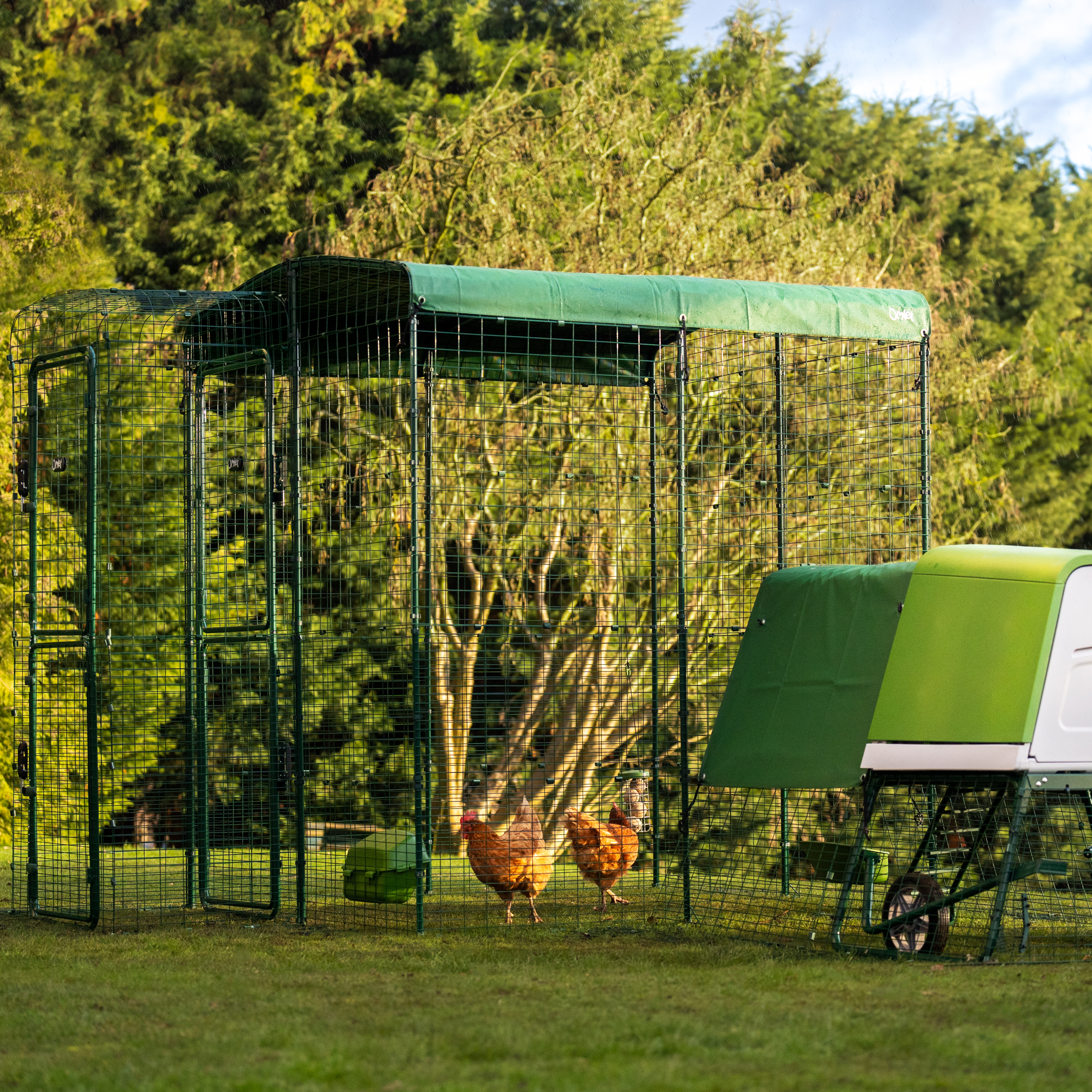 Omlet Heavy Duty Chicken Run Cover - 3x4 | Omlet