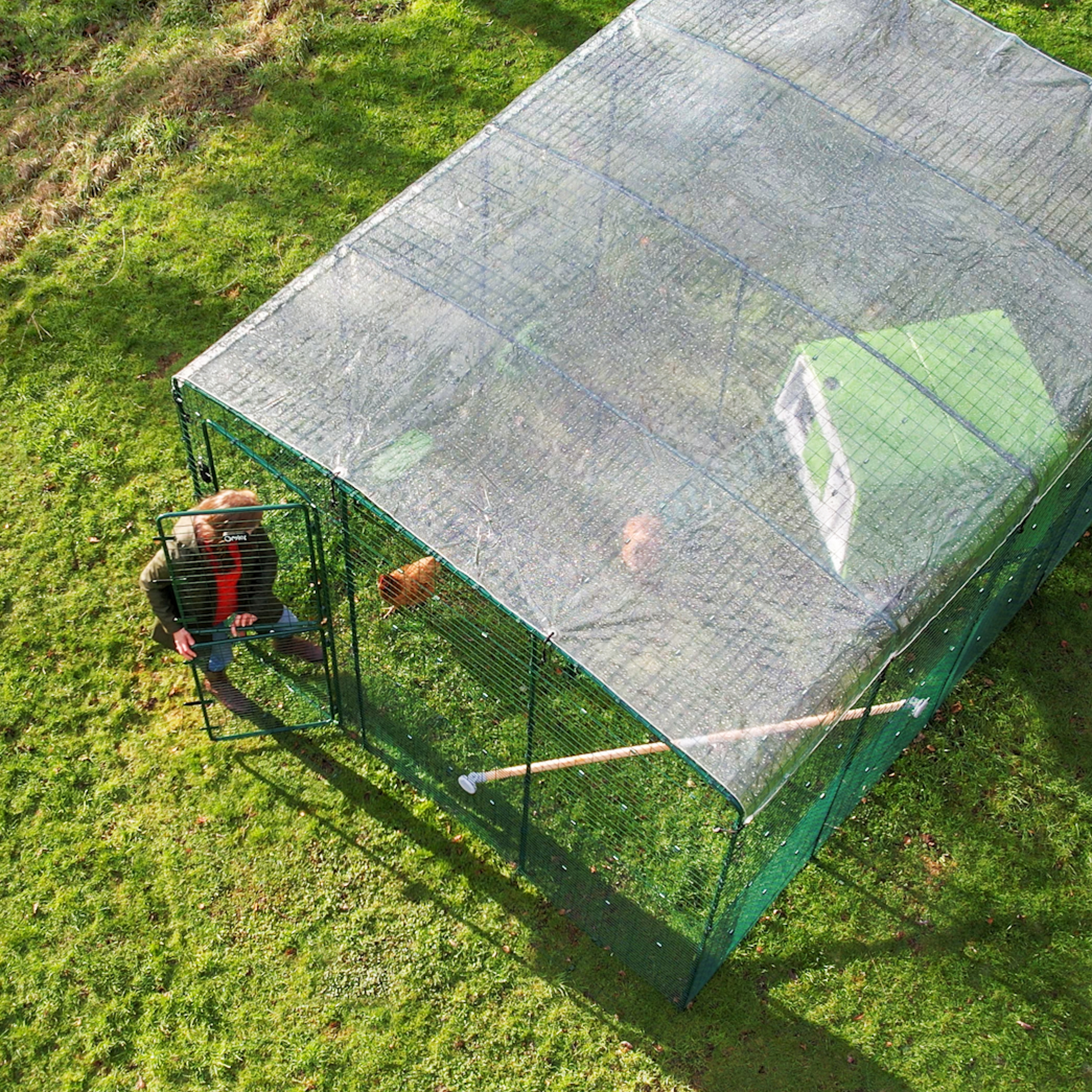 Omlet Clear Chicken Run Cover - 3x4 | Omlet