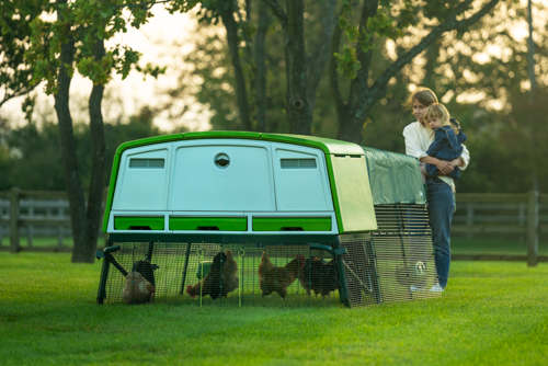 Eglu Pro Extra Large Chicken Coop with Runs | Omlet