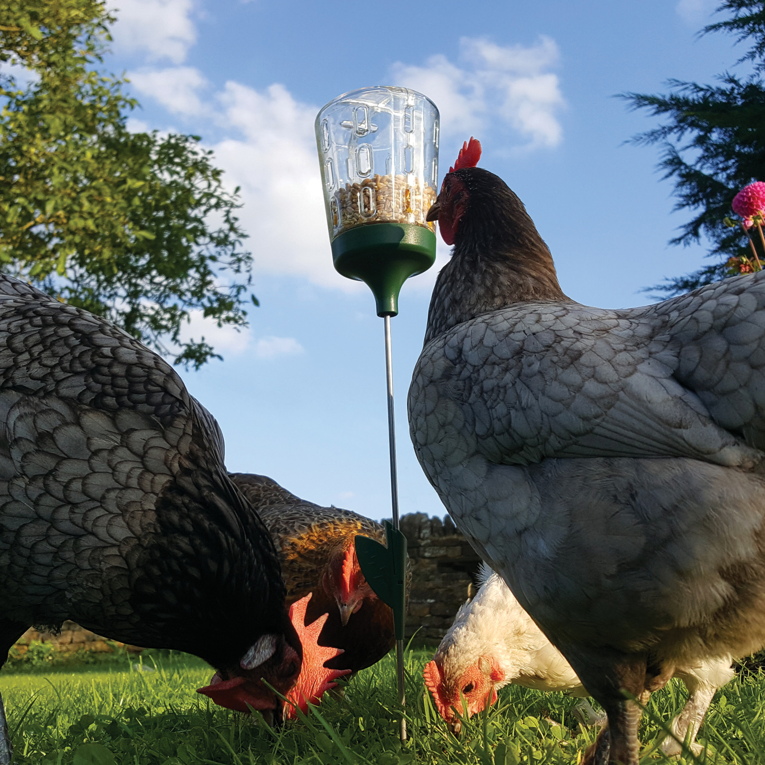 Pendant & Poppy Peck Toy - Twin Pack | Omlet