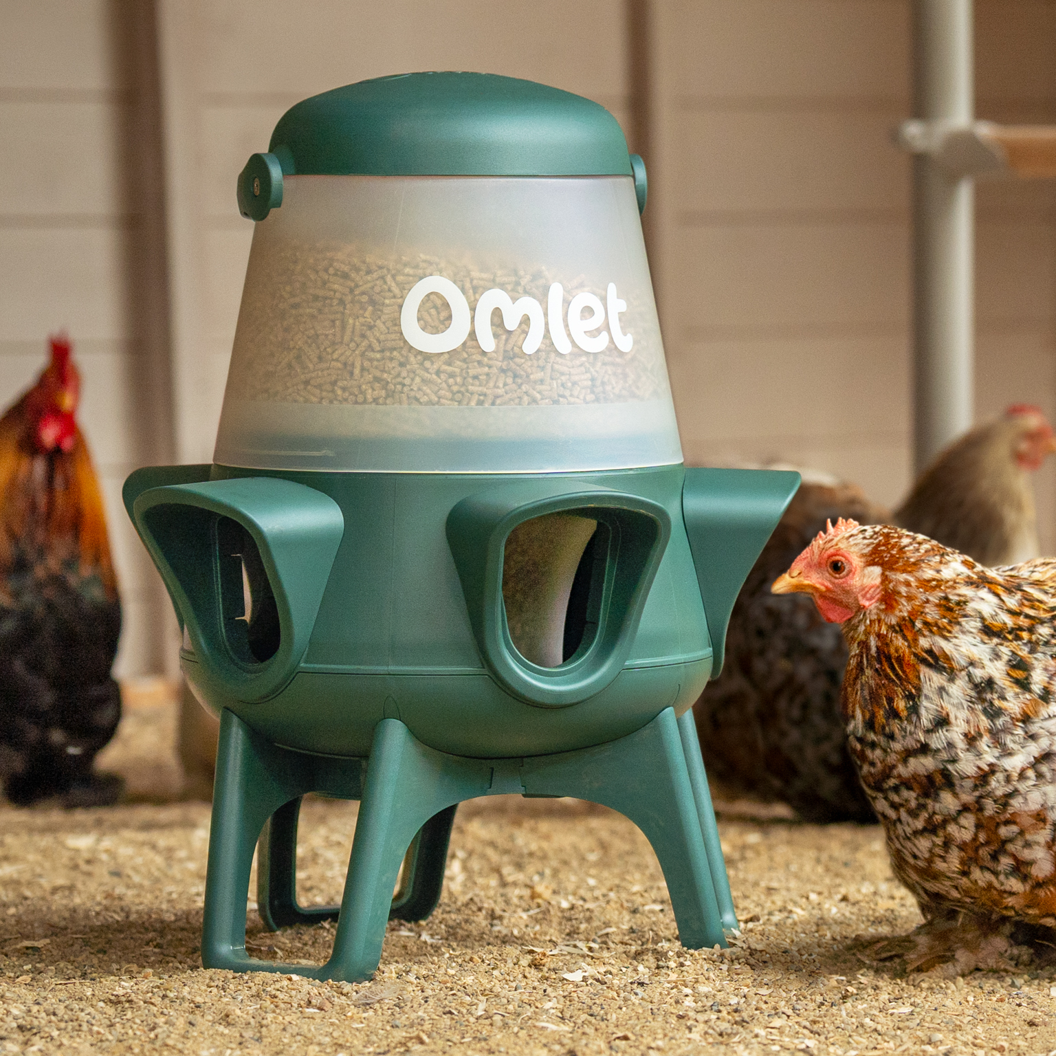 No Waste Chicken Feeder 5kg - No Spill, Anti-Bully | Omlet | Omlet