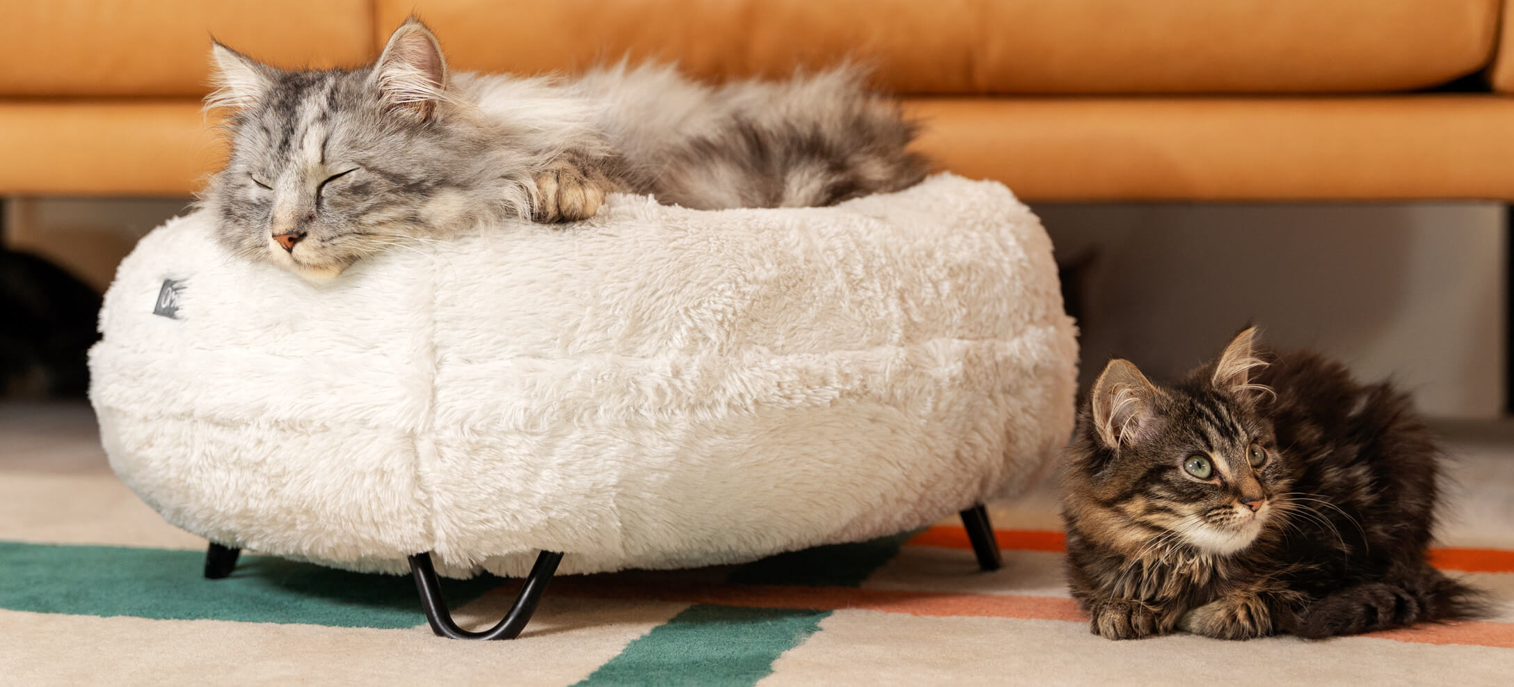 Maya Donut Elevated Cat Beds Luxurious Cat Bed With Customisable Feet Omlet