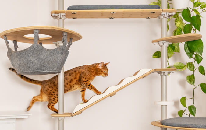 Freestyle Floor to Ceiling Cat Tree - Customisable Cat Tower | Omlet