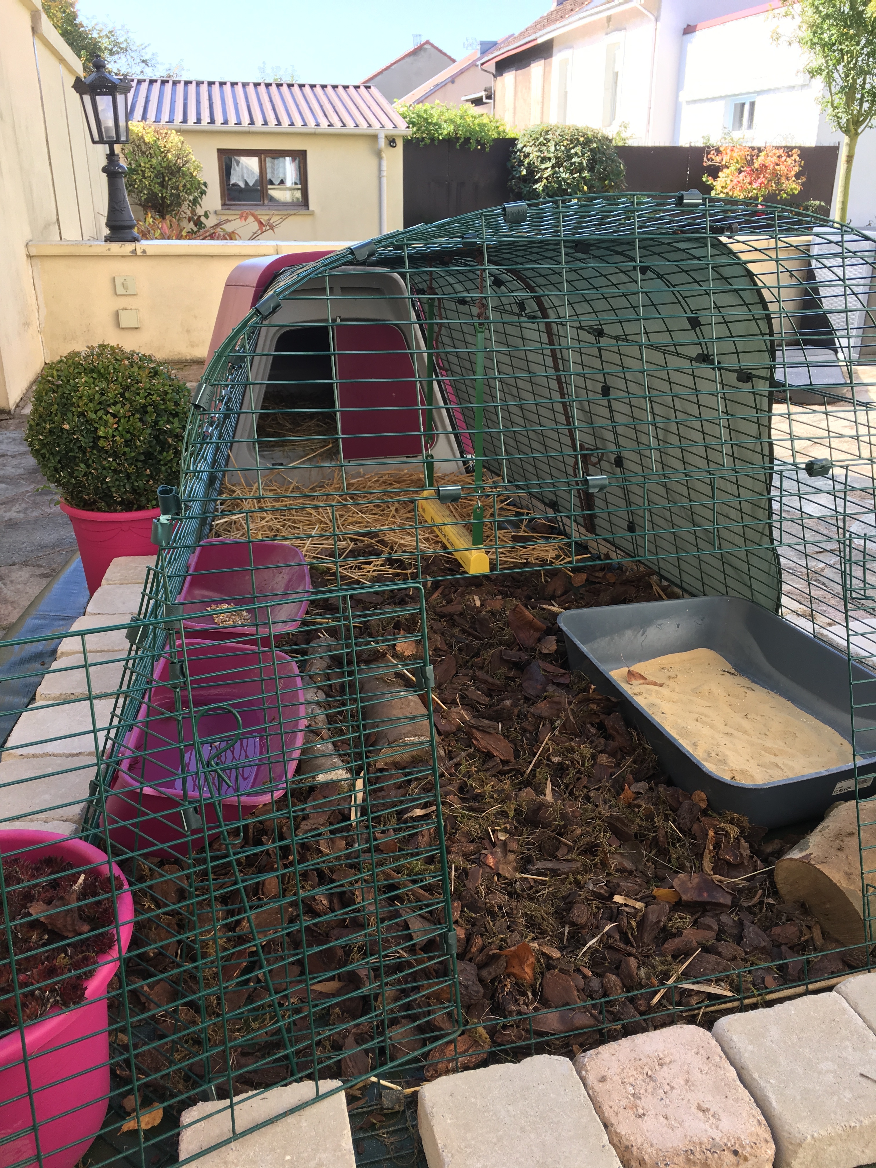 Eglu Go Chicken Coop | Chicken Coops and Pet Chicken Accessories | Omlet