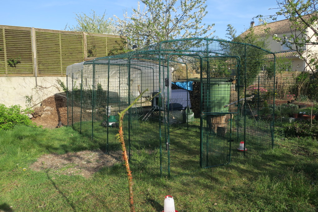 Walk In Chicken Run | Chicken Coops and Pet Chicken Accessories | Omlet